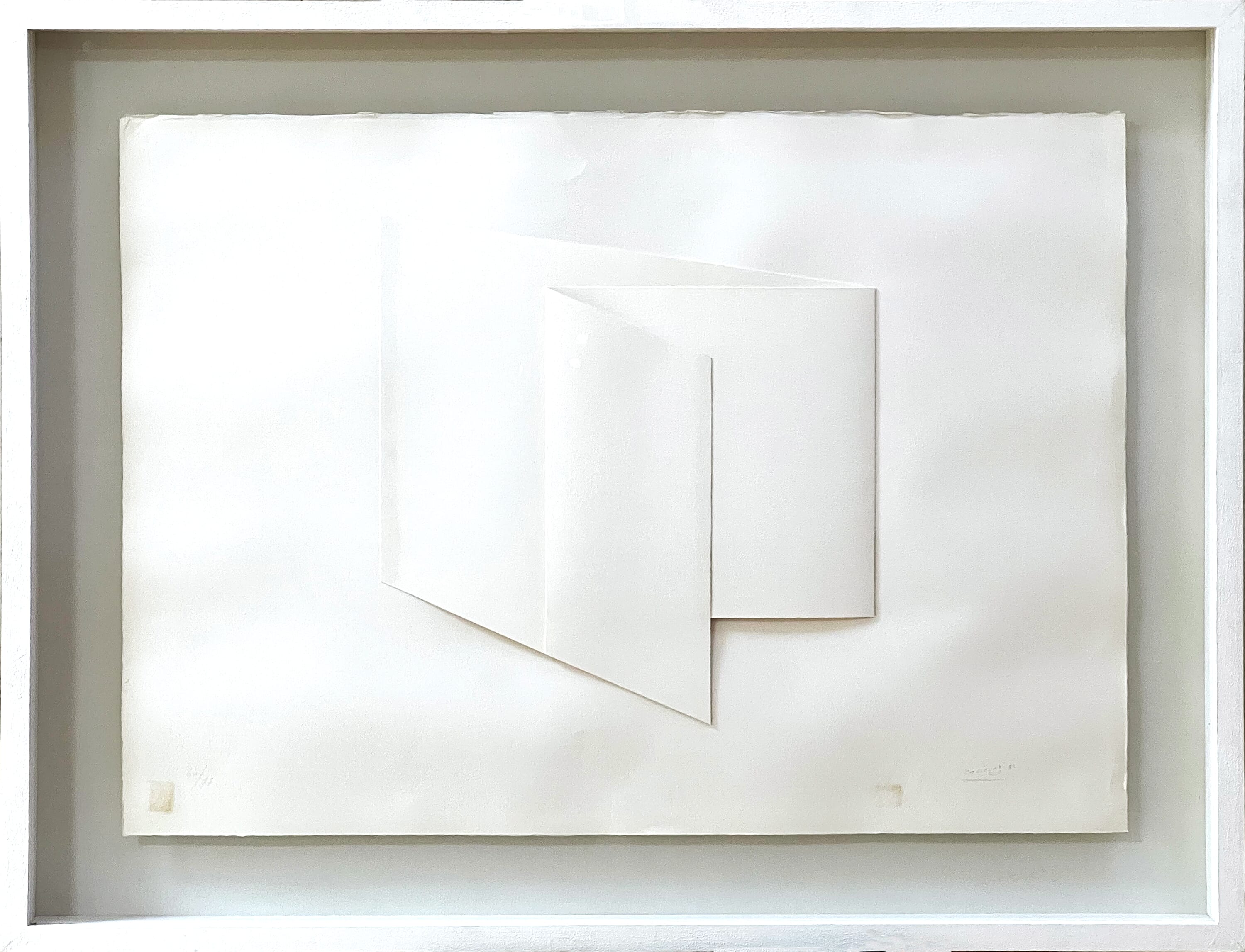 L25. SERGIO DE CAMARGO – ODALYS